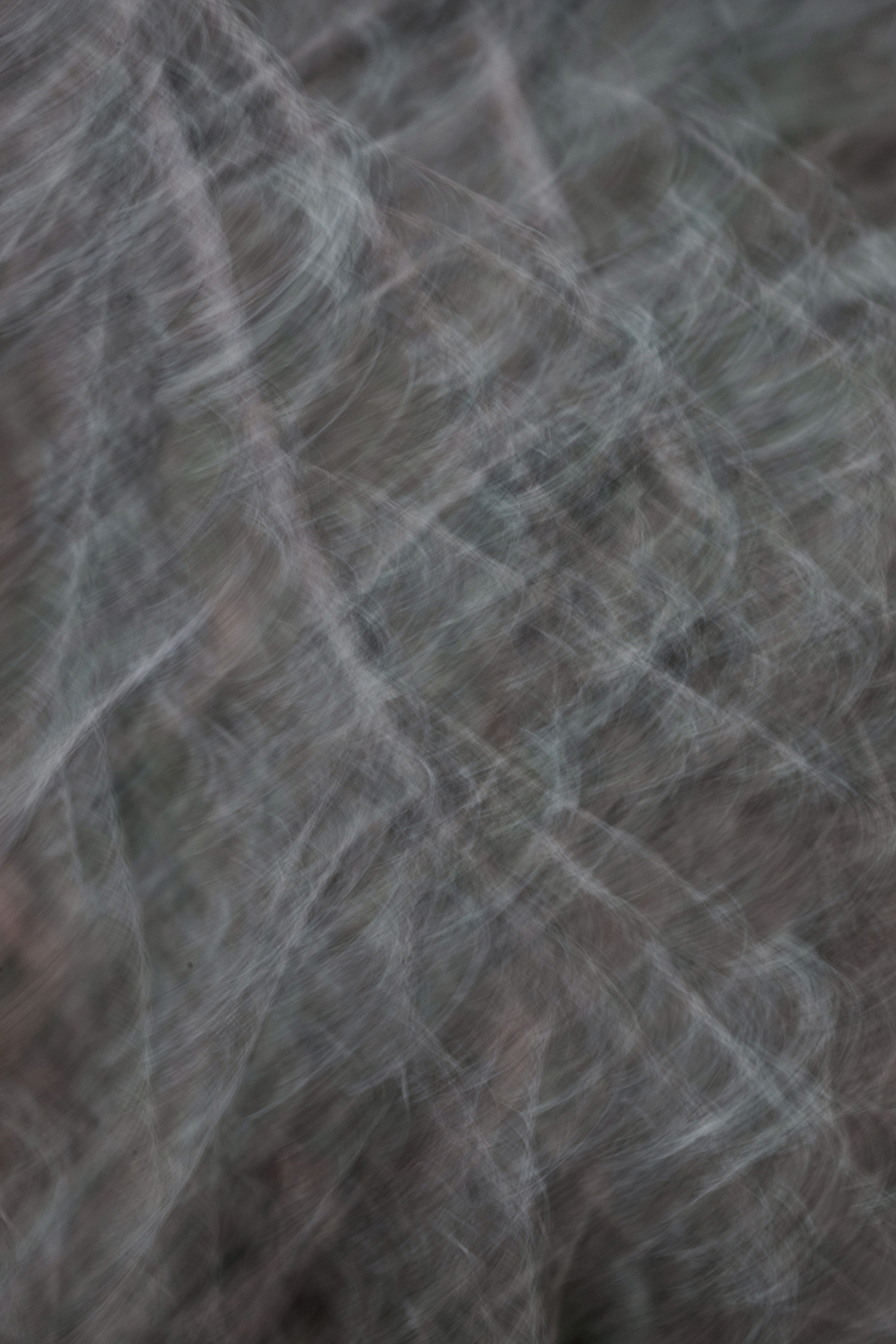 Morten Lundrup Fotografi | GALLERI FUSION