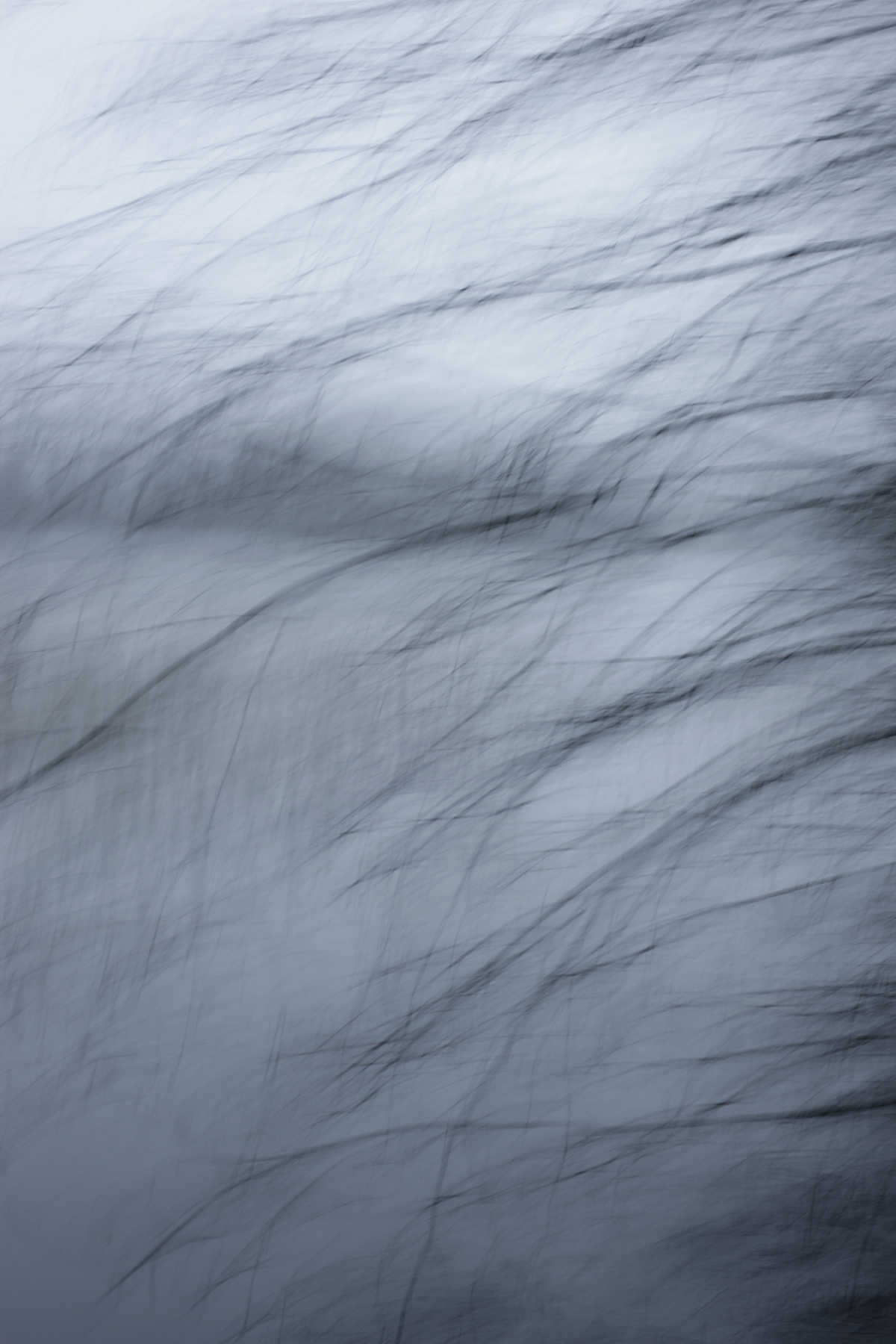 Morten Lundrup Fotografi | GALLERI FUSION